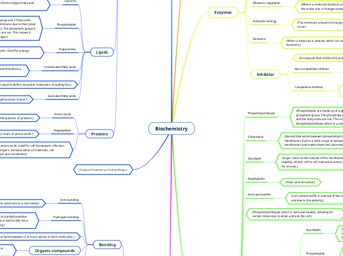 Biochemistry - Mind Map